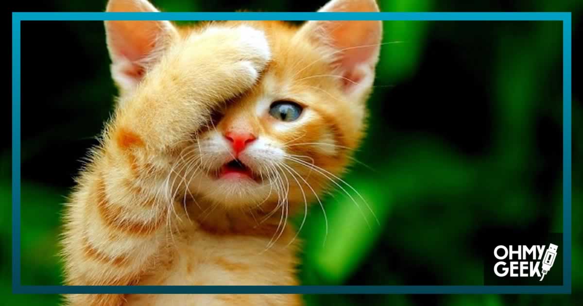 Australia creó su primera zona 'libre de gatos' por protección